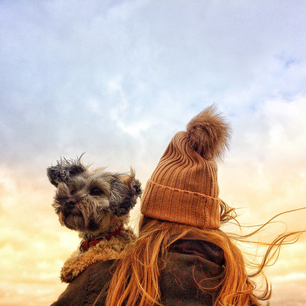 Fundraising events with dogs in 2020! – Dorwest