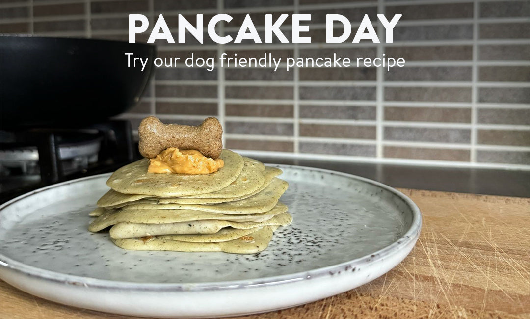 Dog-friendly pancake recipe! – Dorwest