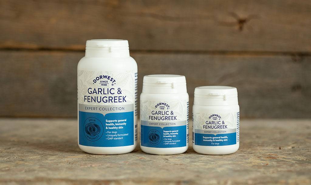 New Garlic & Fenugreek Tablets | Dorwest Herbs