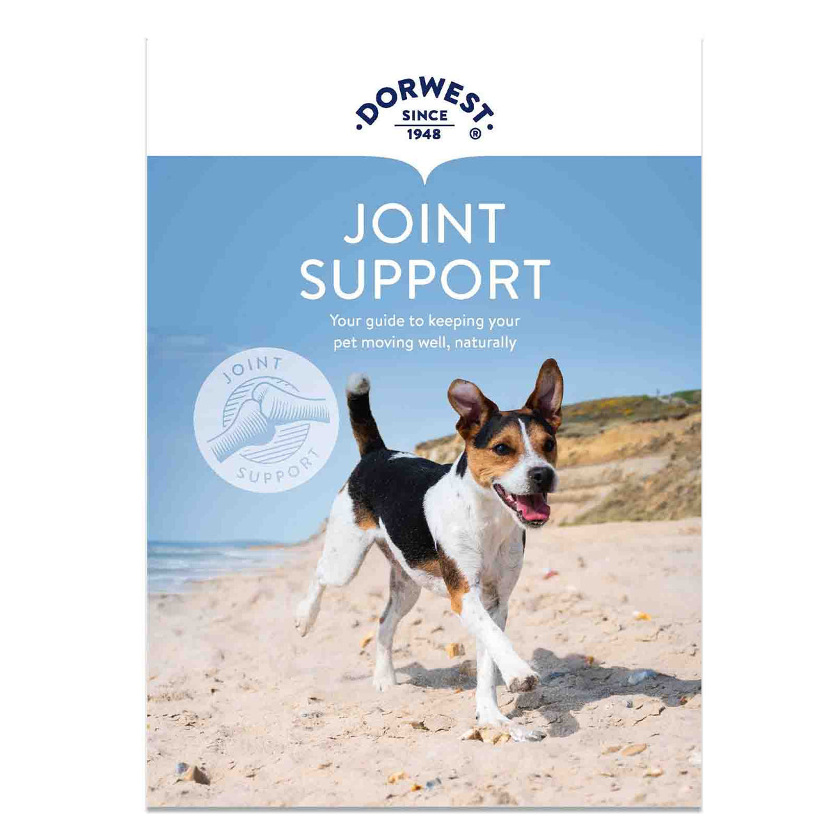 Joint Support Leaflet – Dorwest