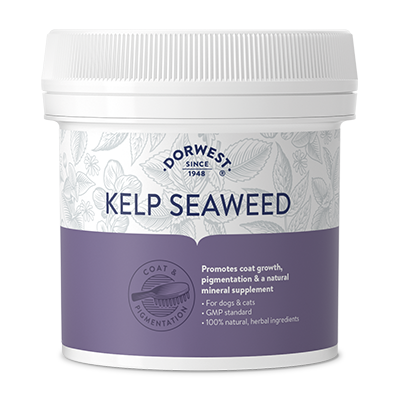 Kelp Seaweed Powder for Dogs & Cats | Dorwest Herbs