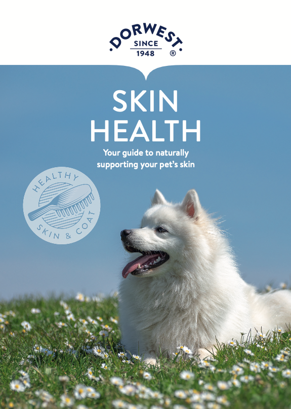 Skin Health Leaflet – Dorwest