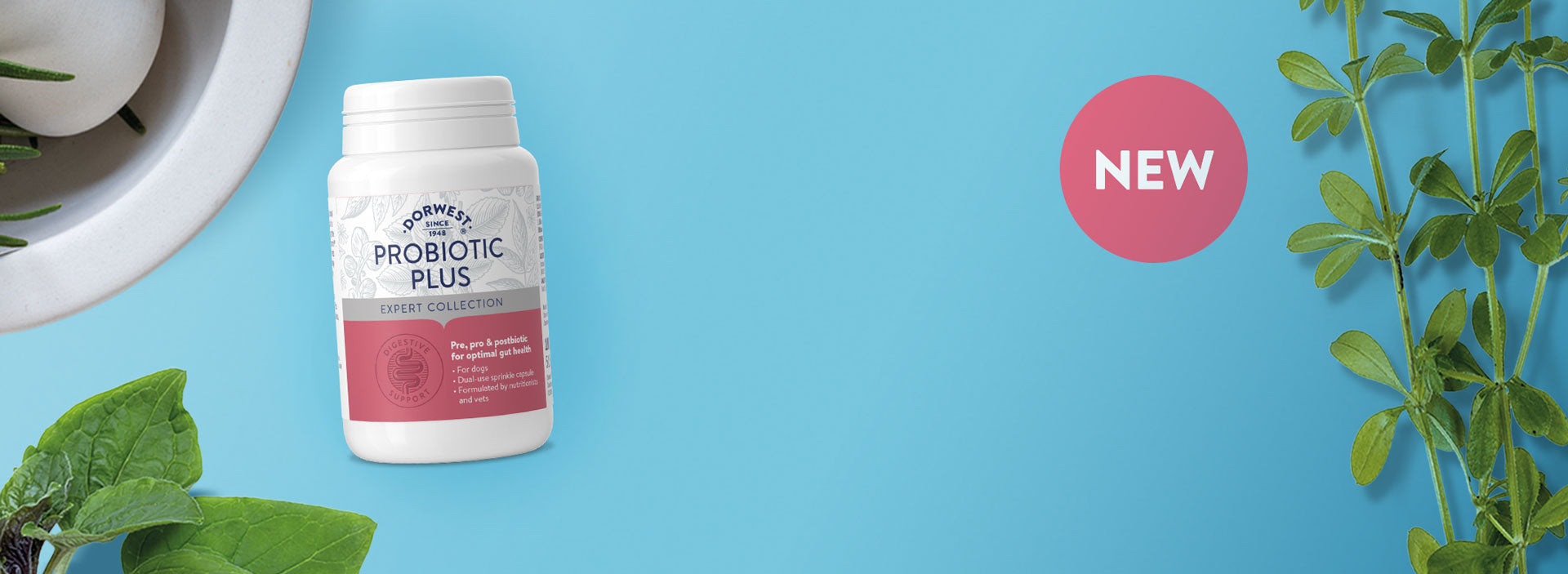 Dorwest Herbs | Introducing our NEW Probiotic Plus for dogs!